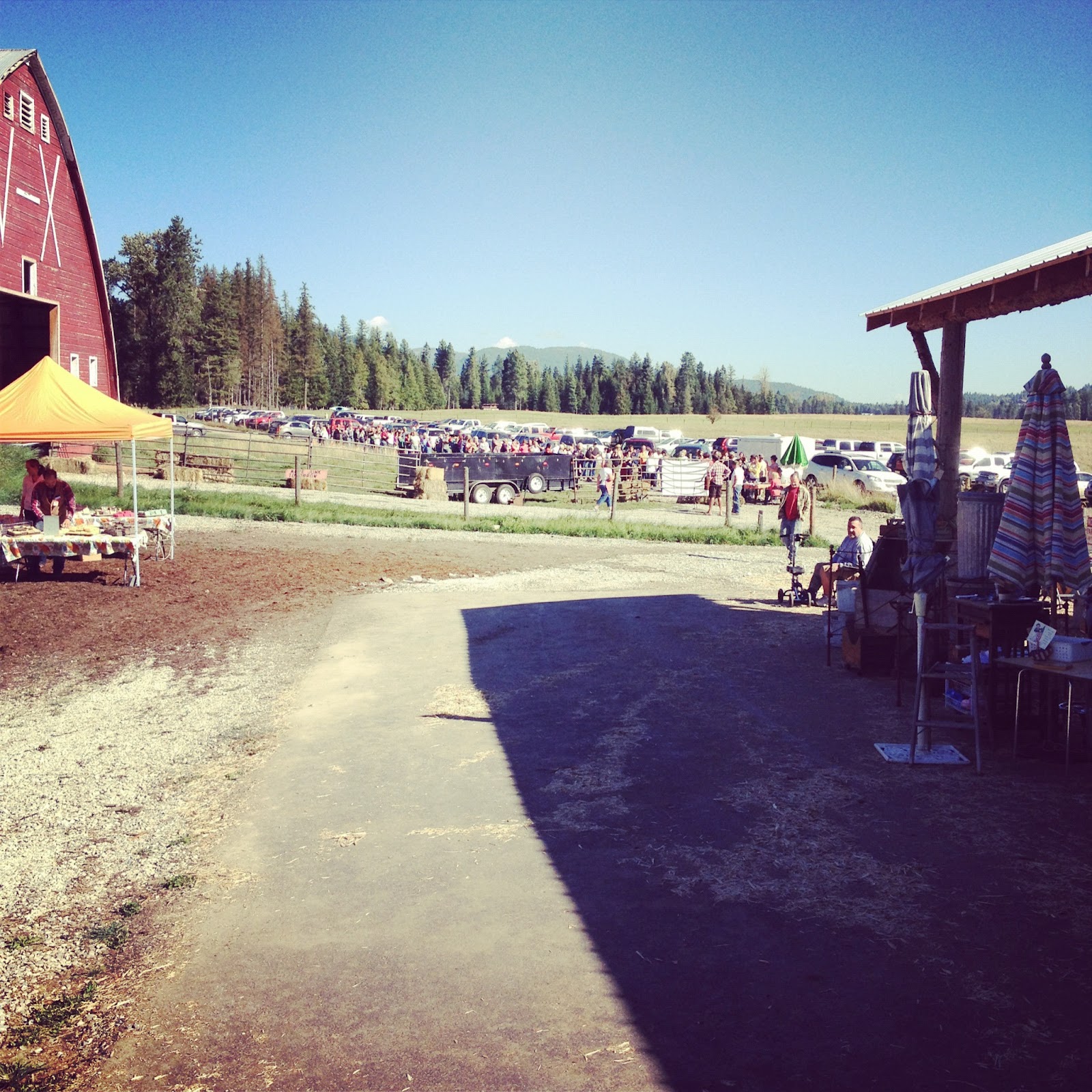 re-defined design: My first Funky Junk sale!!!